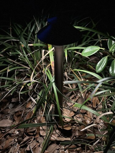 Lumien Modern 360 Degree Area Light with WW Pro Module